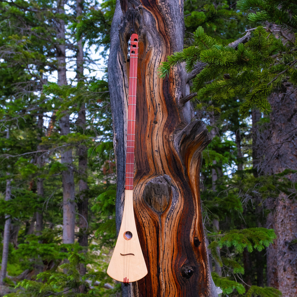 Strumstick.com Home of the McNally Strumstick