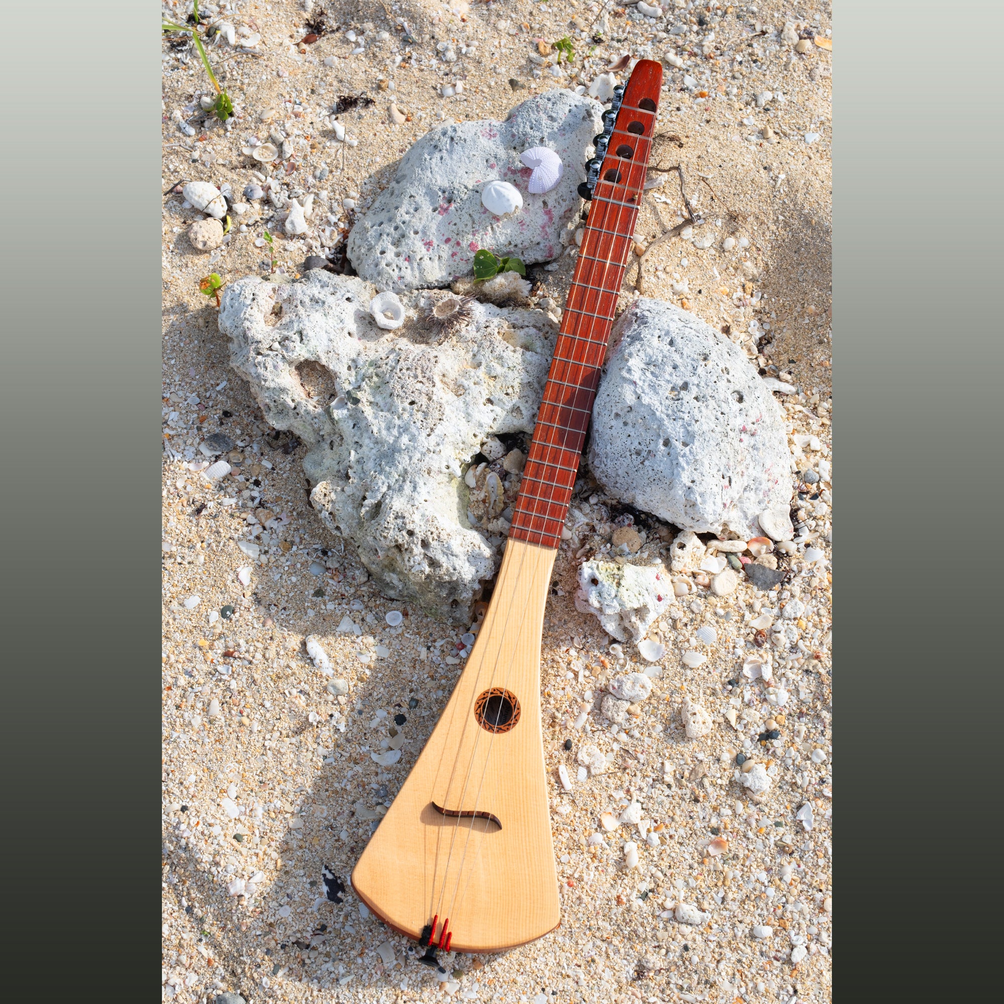 Strumstick.com Home of the McNally Strumstick